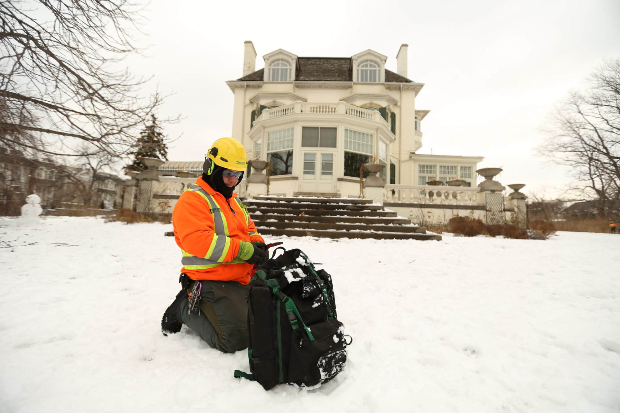 Home - Cohen Master Trees Cohen Master Trees