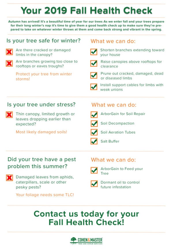 Time for your 2019 Fall Health Check! - Cohen & Master Trees